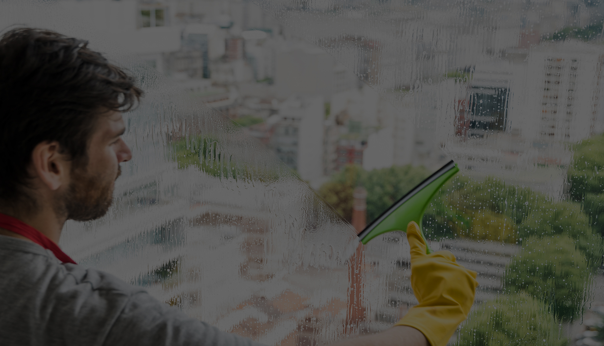 Window Cleaning Services near Me | Upholstery Cleaning Services near Me